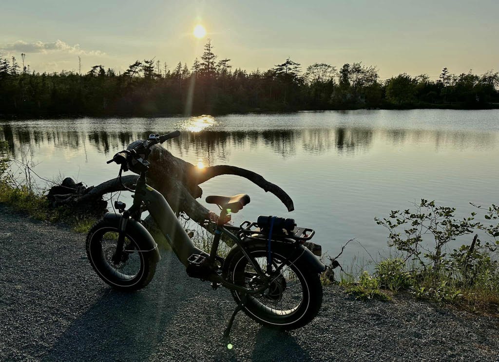 Ocelot Pro Long Range Step-Thru Fat Tire Electric Bike - Space Gray ...