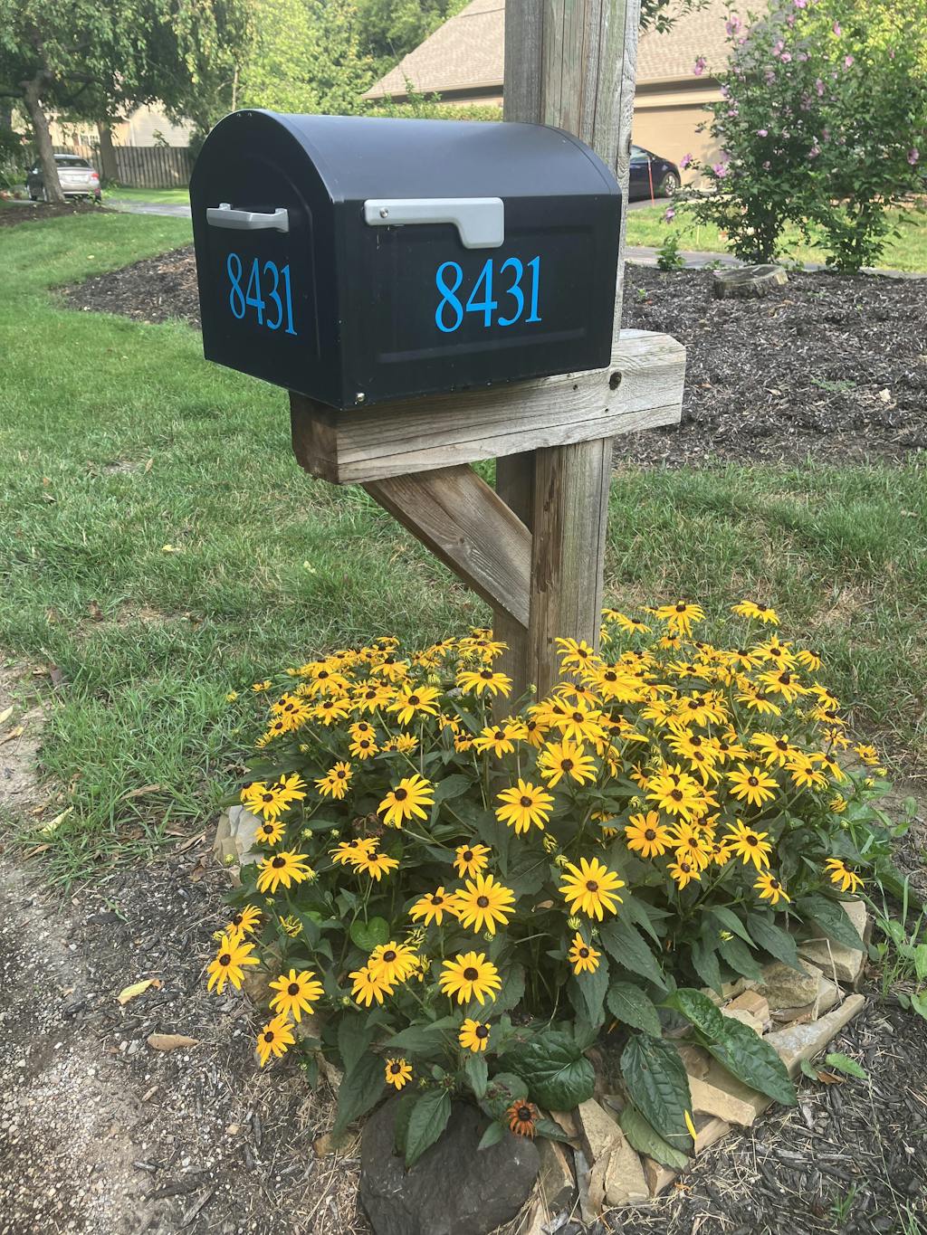Custom Mailbox Number Decal - Choose your font, color, and size!