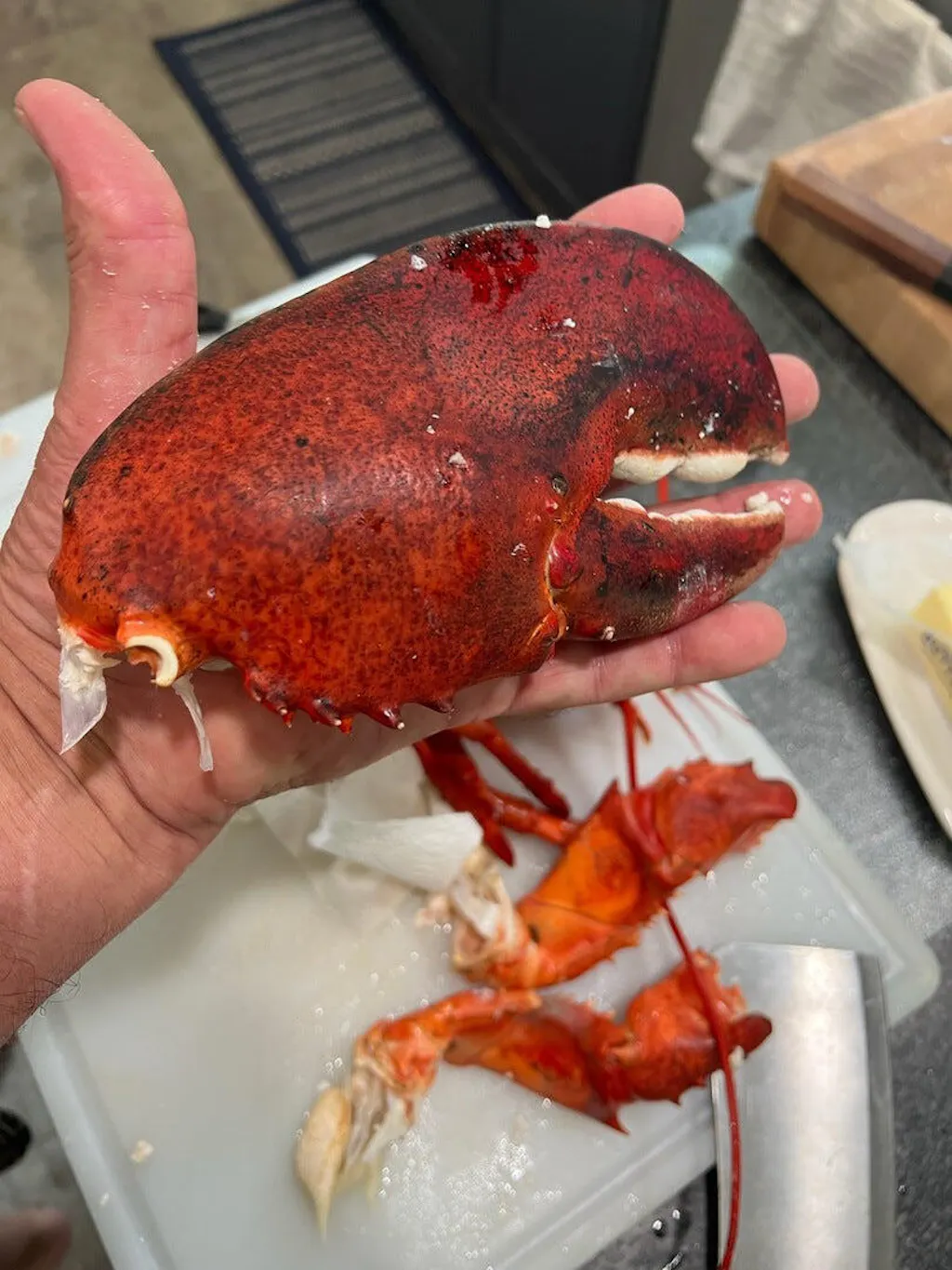 Jumbo 4-6 lb Giant Lobster from North Atlantic