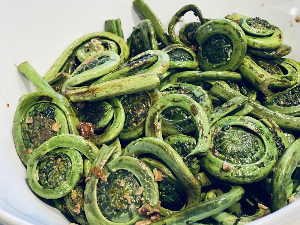 Fresh Maine Fiddleheads For Sale | Shipped From Maine