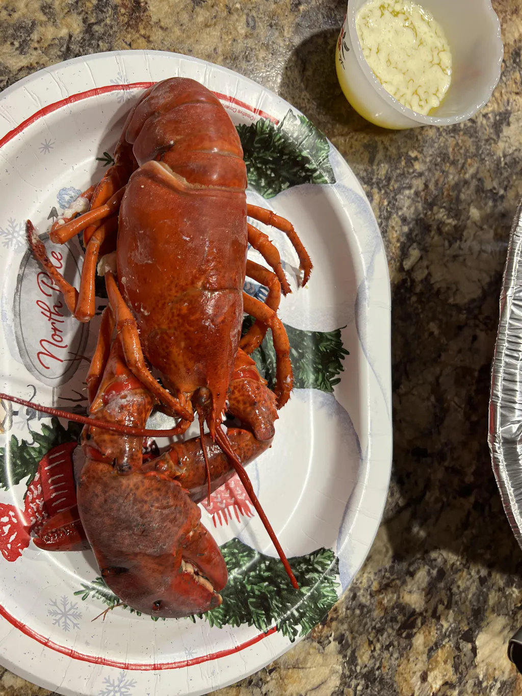 Fresh Cheap Live Lobster | Order Online Now