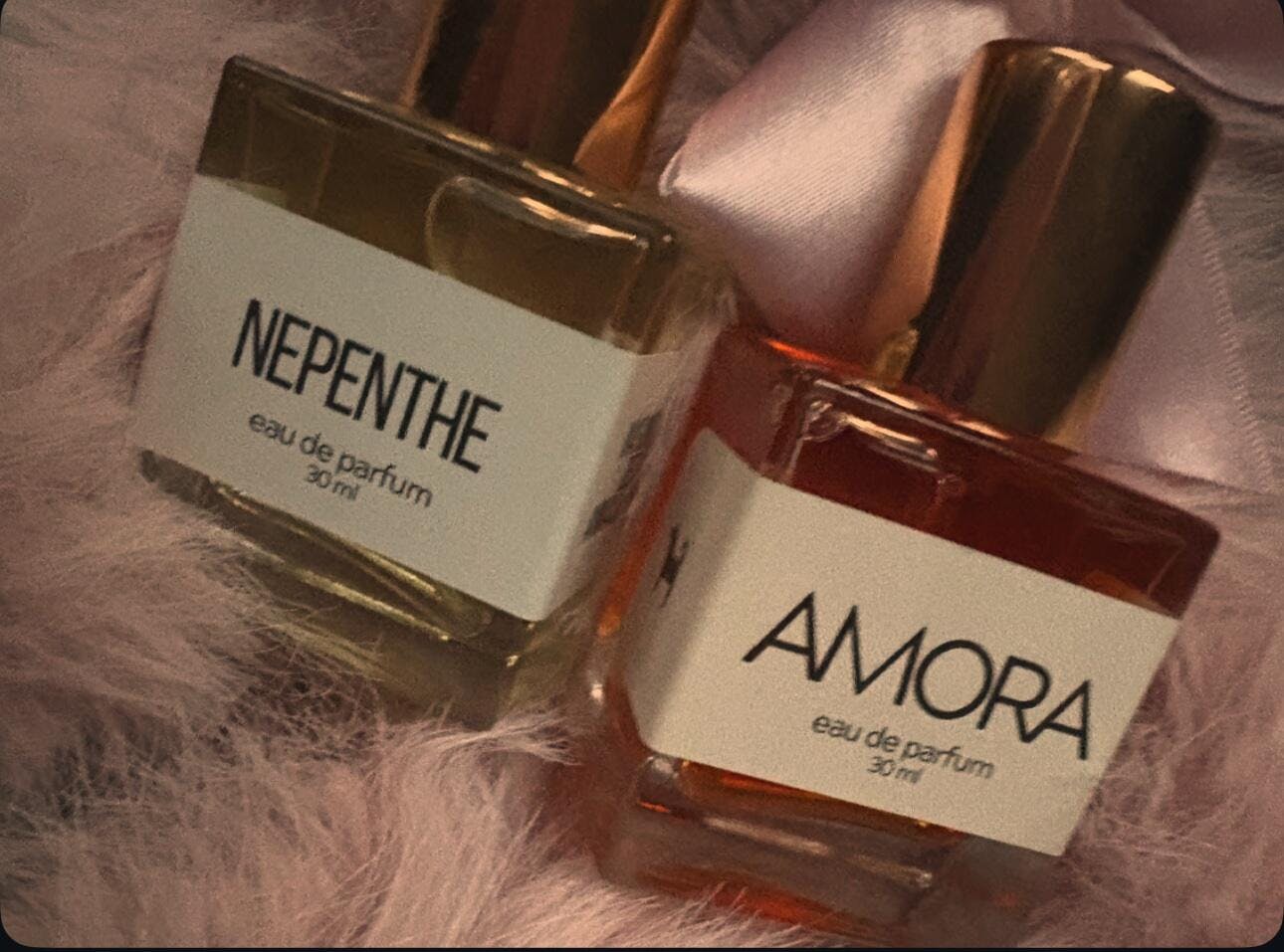 Amora Eau de Parfum – Maison des Animaux Fragrances