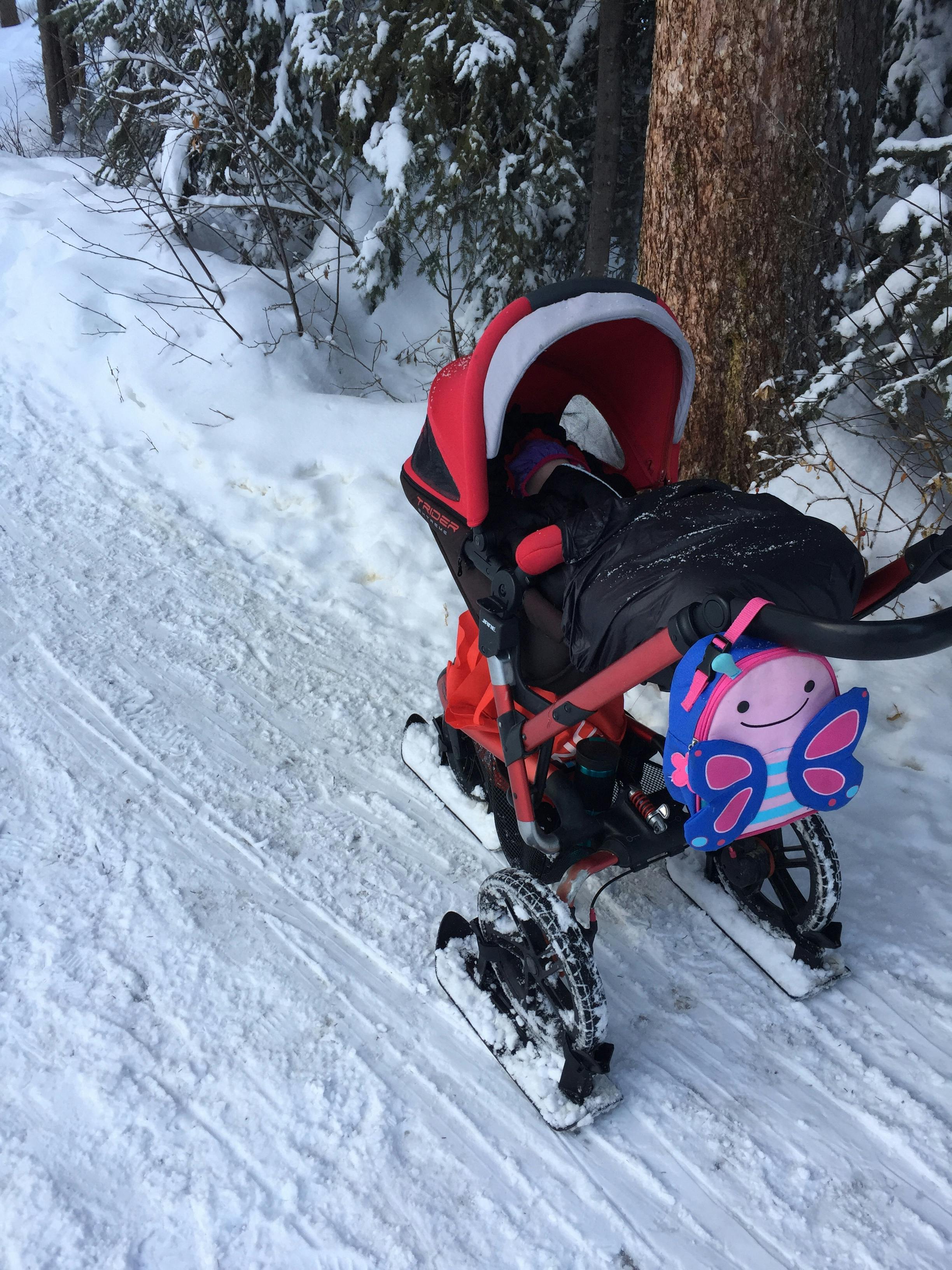 PremierSki - Stroller Skis - MakeMyBellyFit