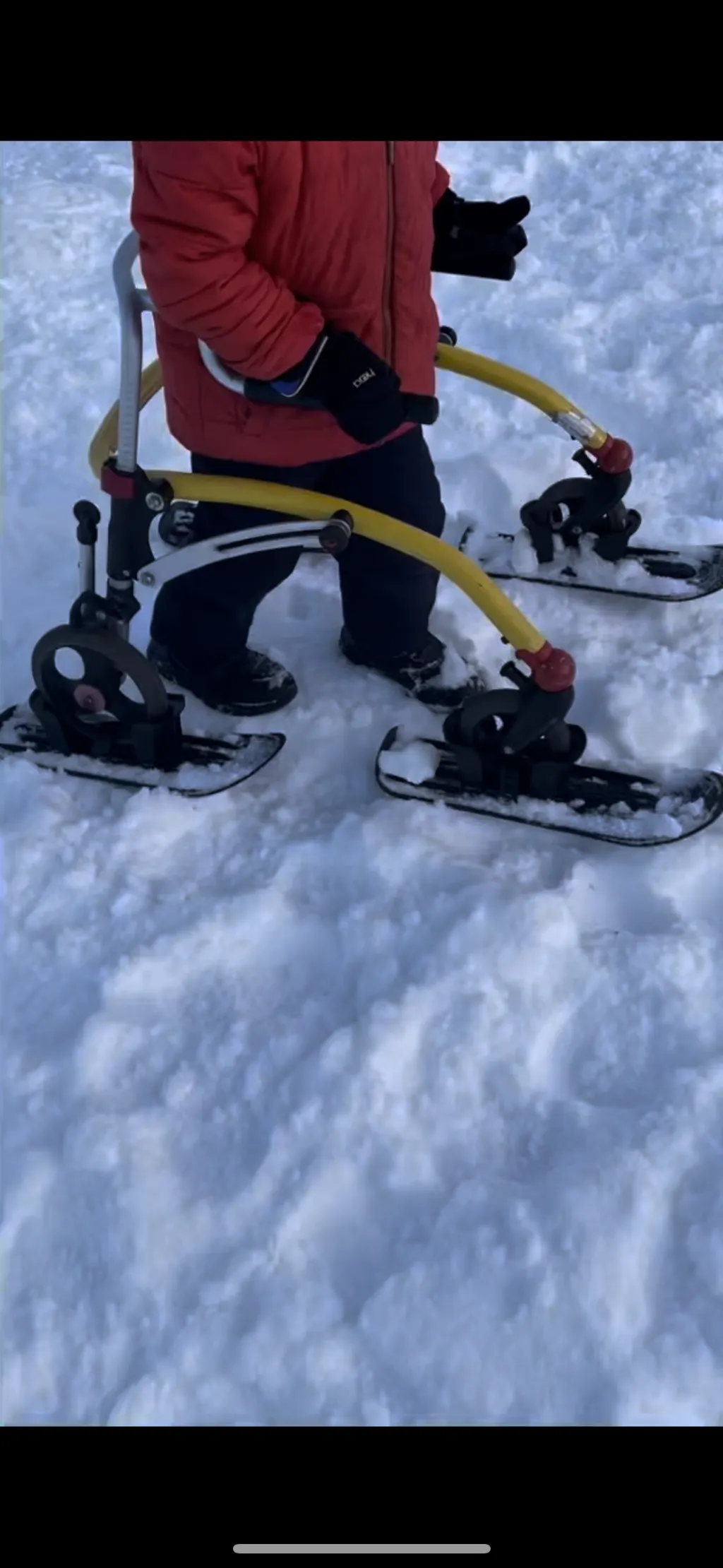 PremierSki - Stroller Skis – MakeMyBellyFit