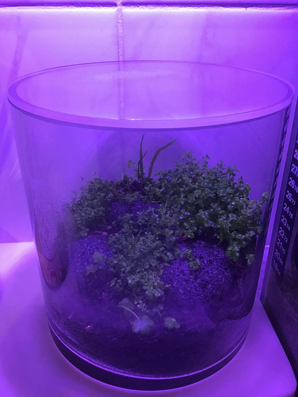 Terrarium Lid | Clear Acrylic Circle Blank | Maker Supplies Adelaide