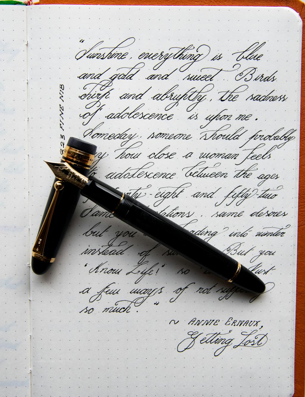 Buy Pilot Custom 823 Fountain Pen - Smoke Black GT Online - Pilot – Makoba