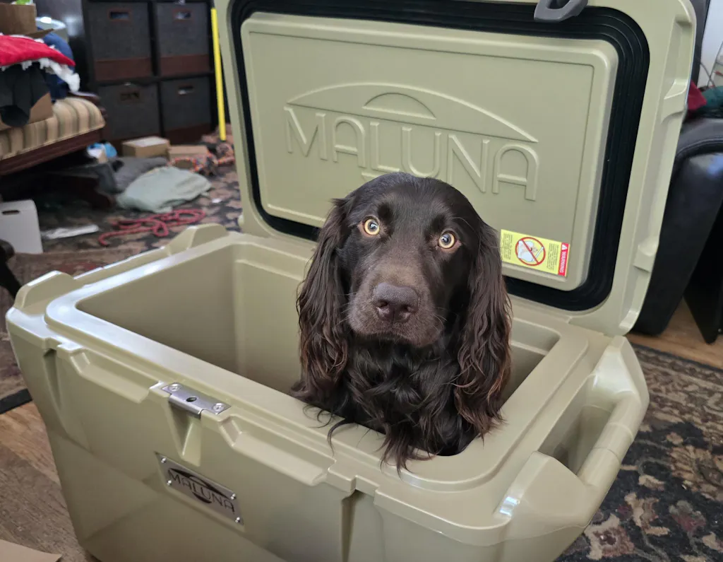 Maluna Cooler | Made in the USA 70 Quart Hard Cooler – Maluna Coolers ...