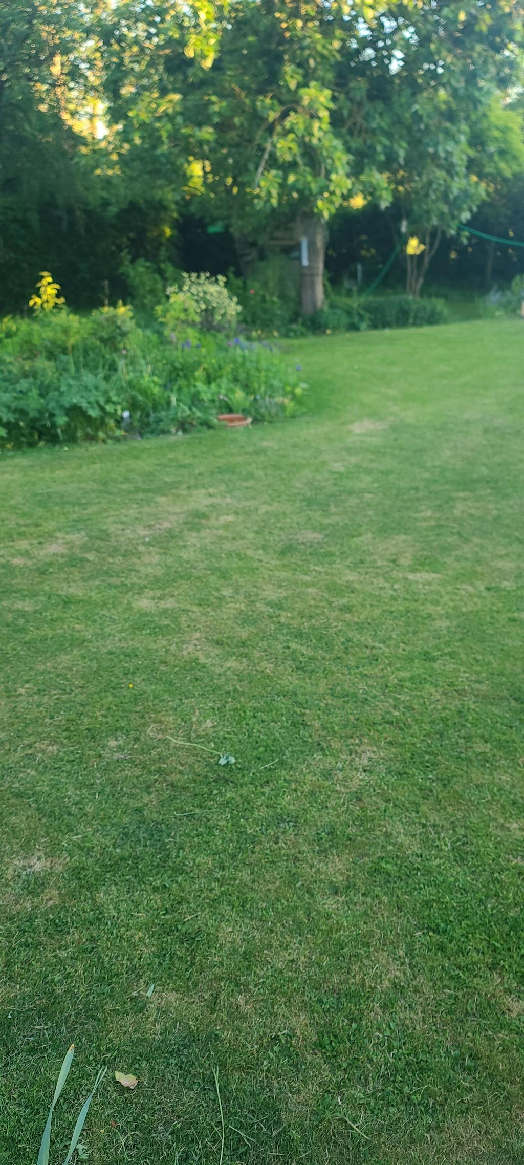 YUKA: 2-in-1 Self-emptying Lawn Sweeping Mower | Mammotion UK