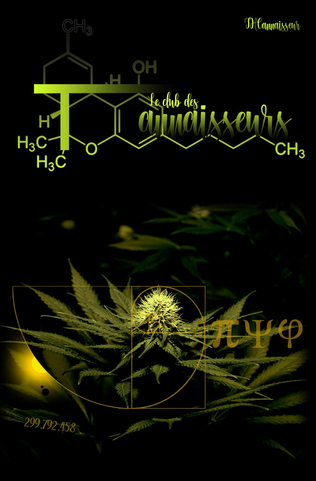 Reviews – Mandala Seeds Shop