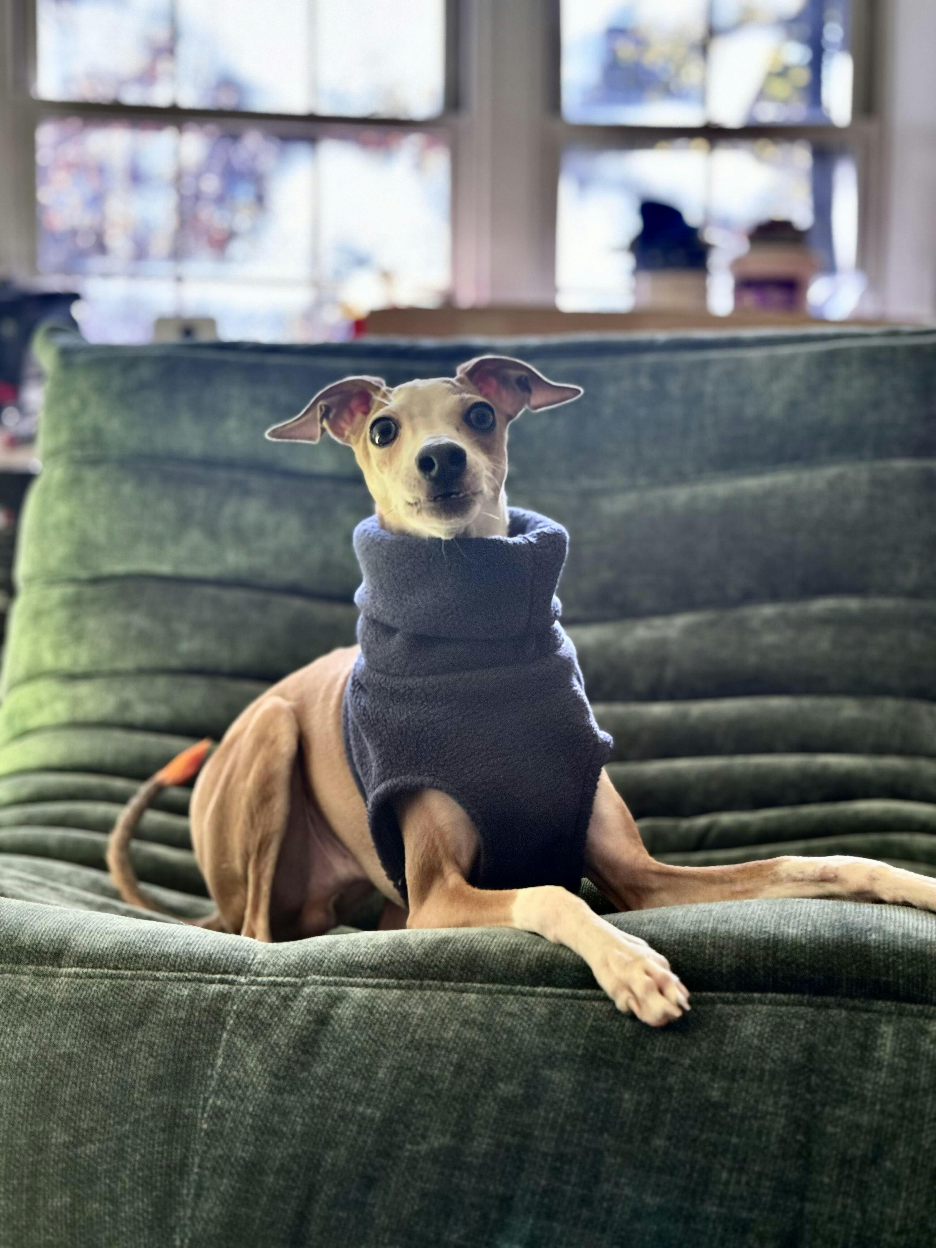 Manhattan Home Design Customer Reviews and Opinions