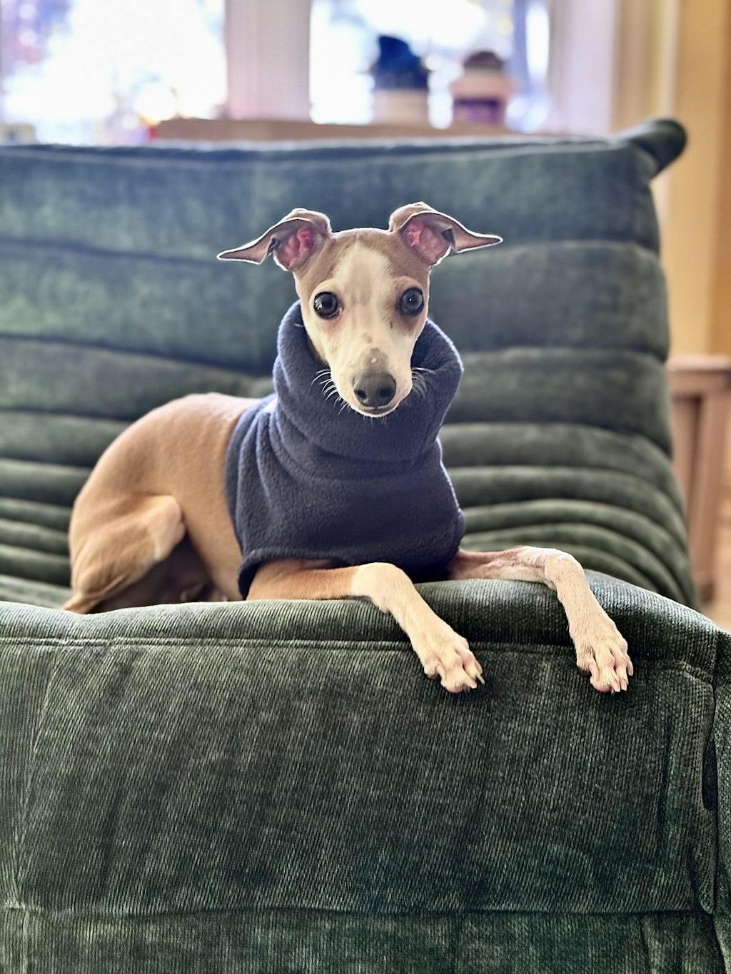 Manhattan Home Design Customer Reviews and Opinions