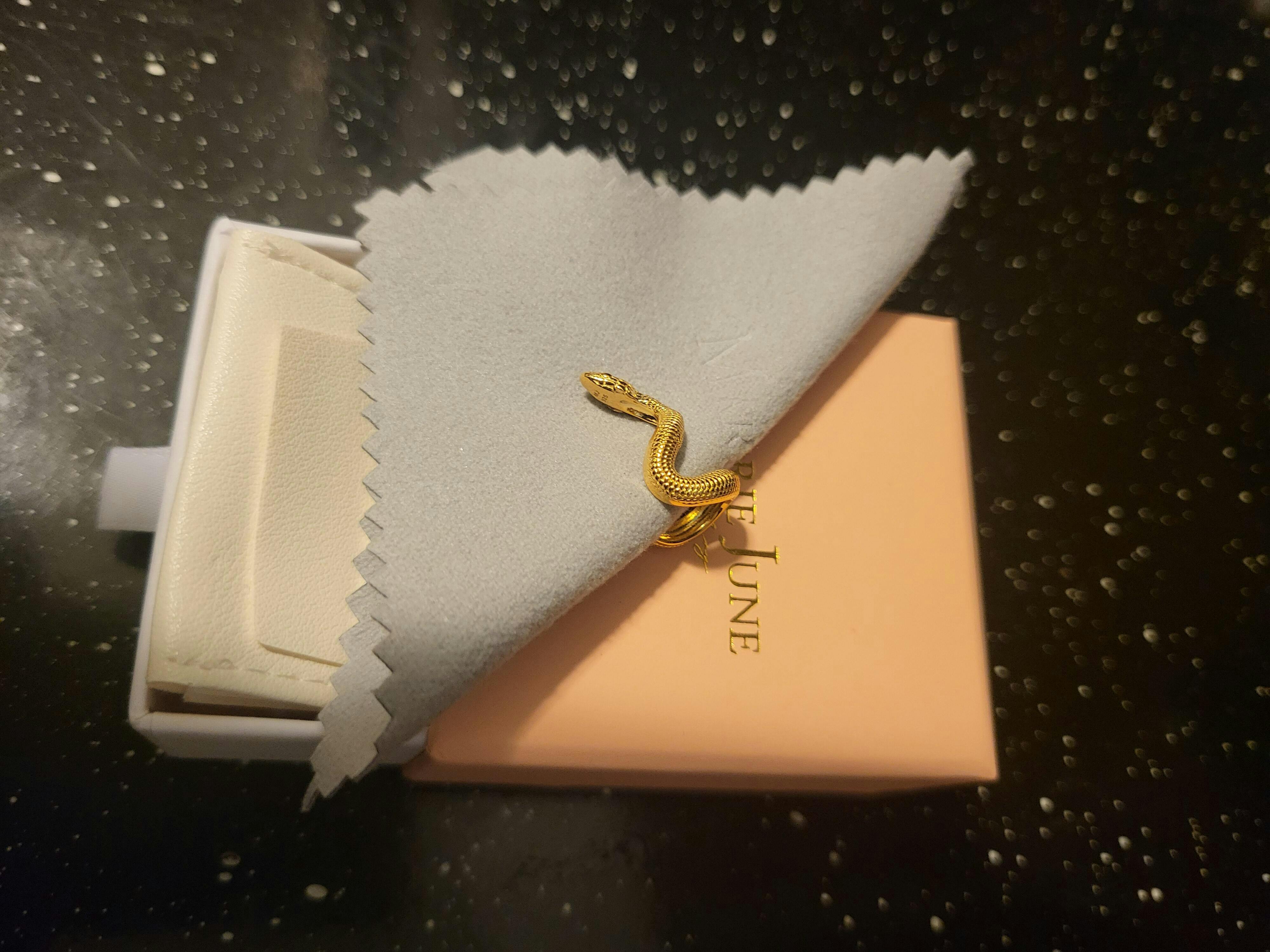 Mythical Serpent Ear Cuff & Earrings – MARIE JUNE