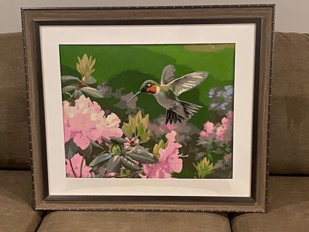 Hummingbird – Masterpiece By Numbers