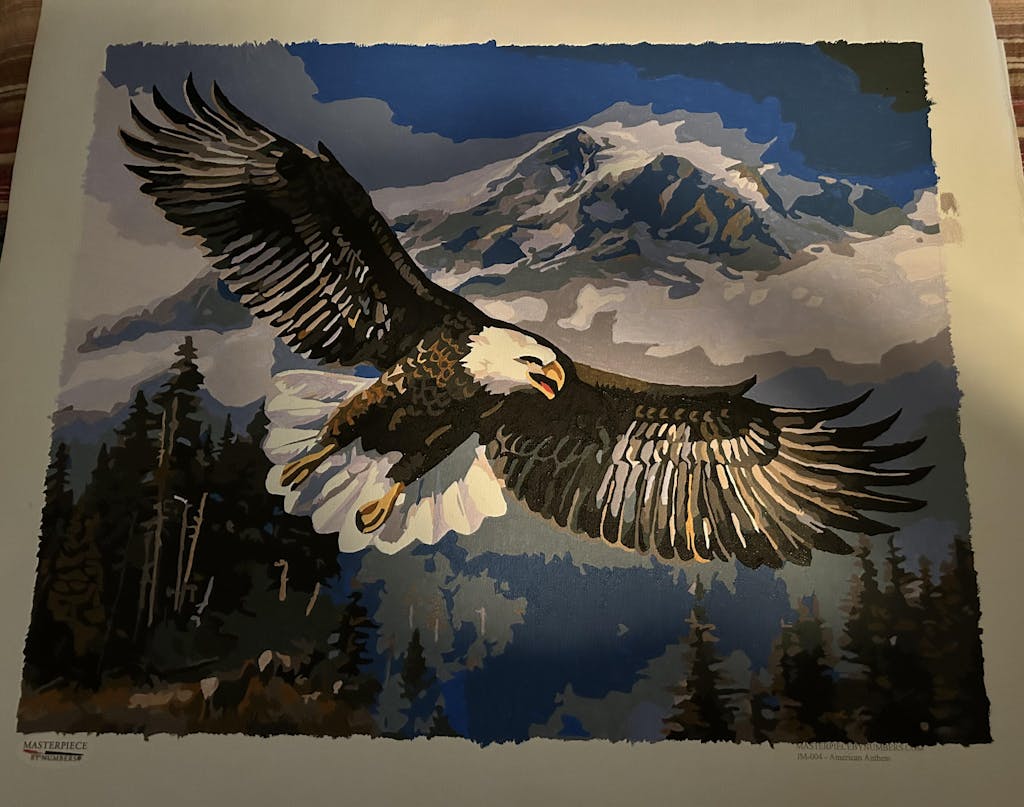 Bald Eagle Paint By Number Kit – Masterpiece By Numbers