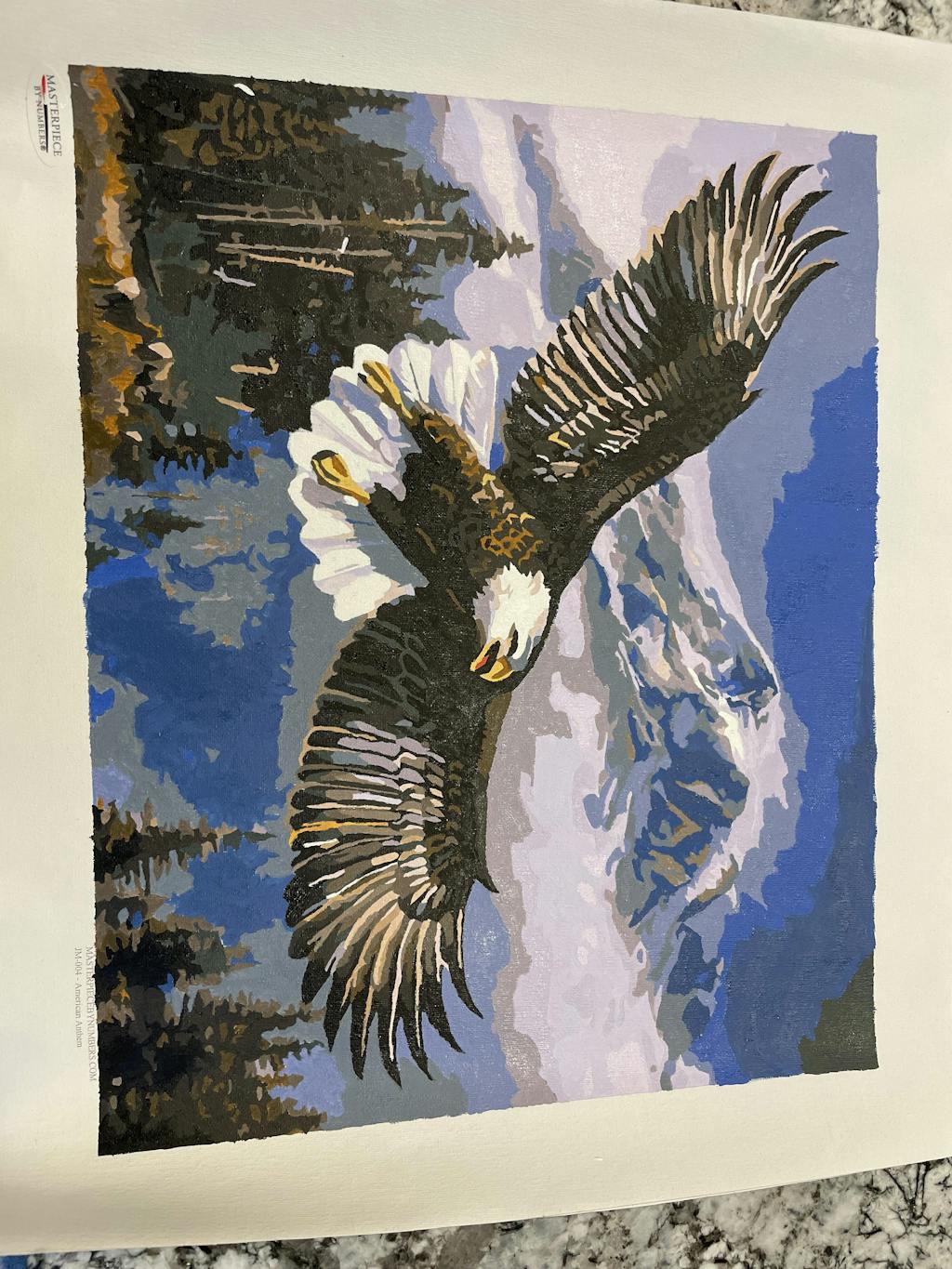 Bald Eagle Paint By Number Kit – Masterpiece By Numbers