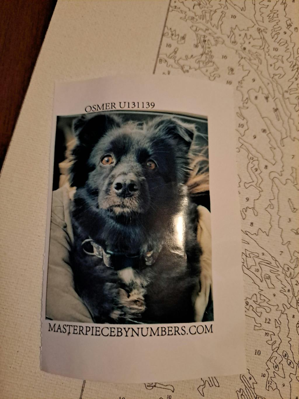 Photo to Paint By Numbers. Create Your Own Masterpiece. – Masterpiece ...