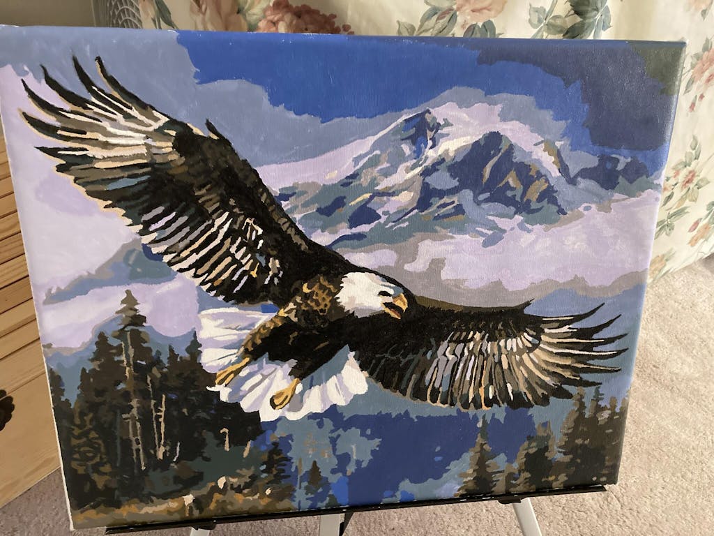 Bald Eagle Paint By Number Kit – Masterpiece By Numbers