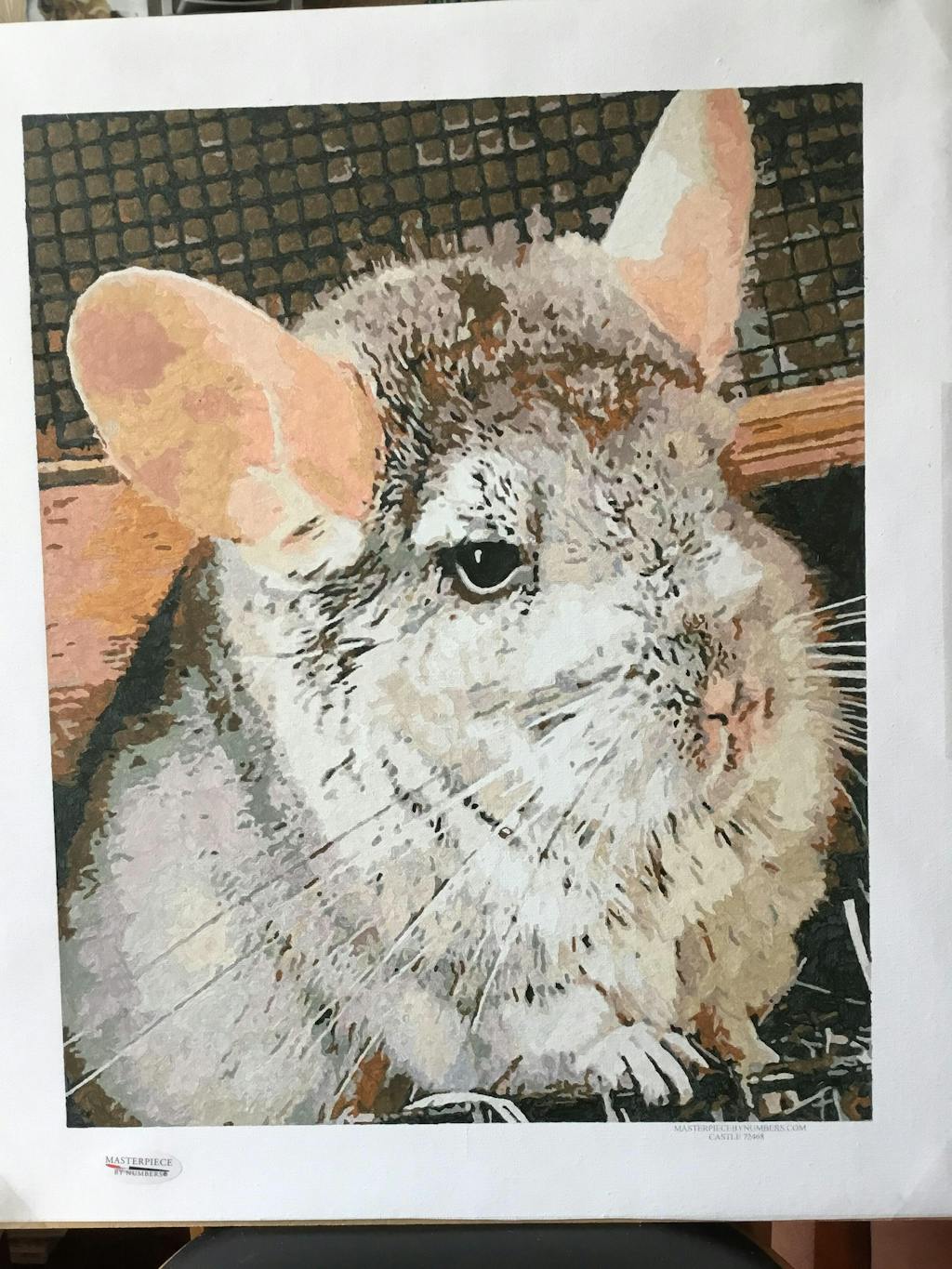 Photo to Paint By Numbers. Create Your Own Masterpiece. – Masterpiece ...