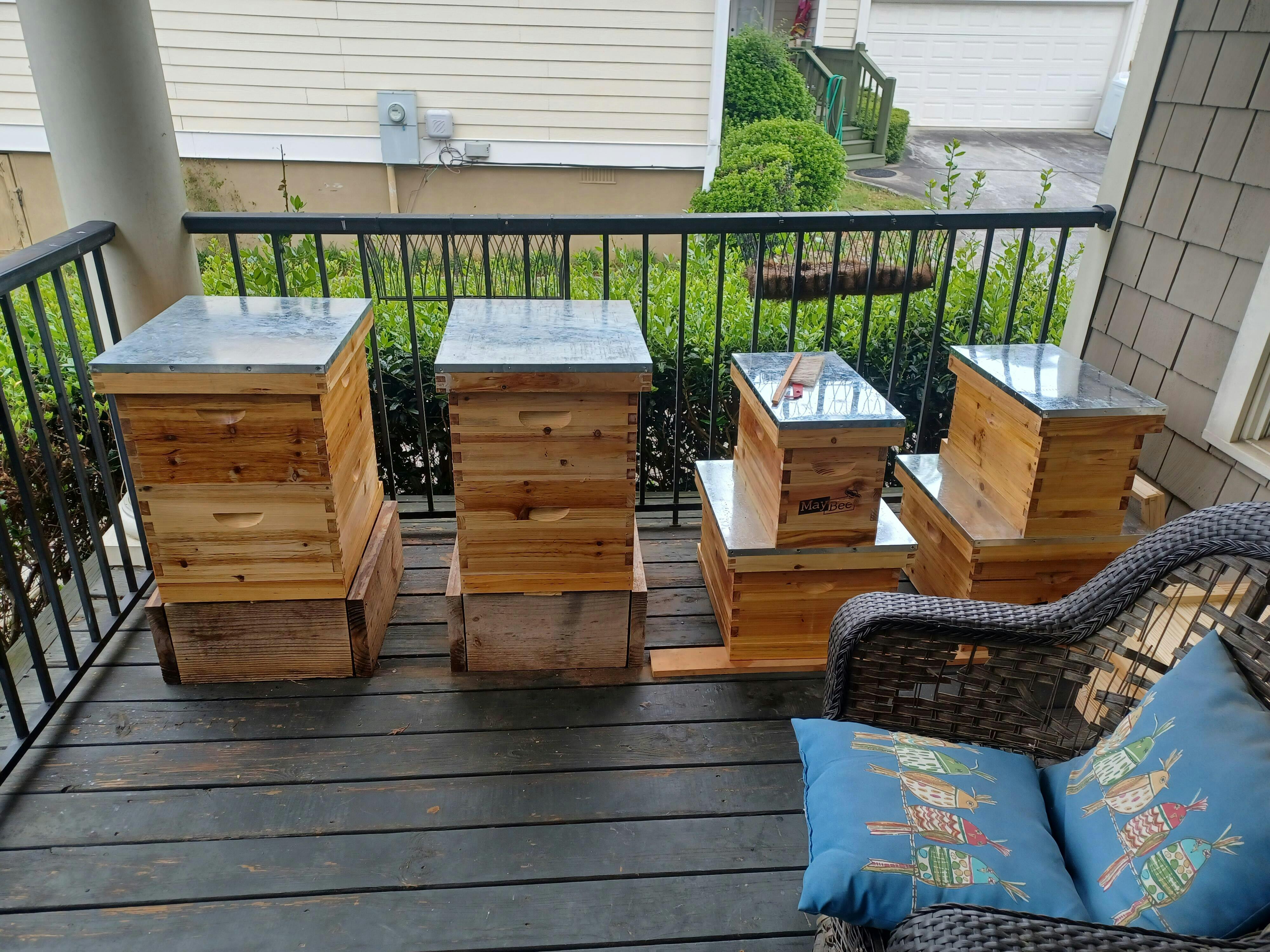 MayBee 10 Frame 3 Layer Beehive （2 Deep 1 super） (No Logo) – Maybee Hives