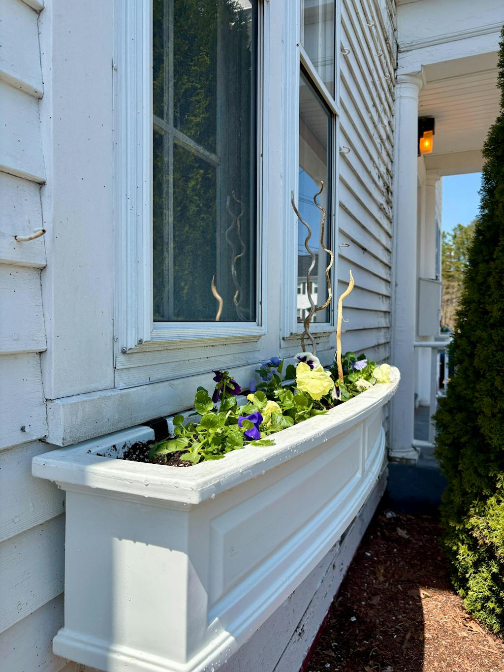 Mayne Nantucket 5ft Window Box – Mayne Inc. US