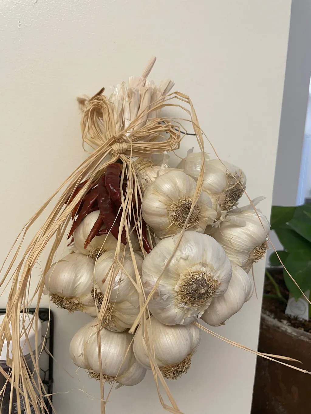 PRE-ORDER Garlic Swag with Chilis & Raffia – McFadden Family Vineyard ...