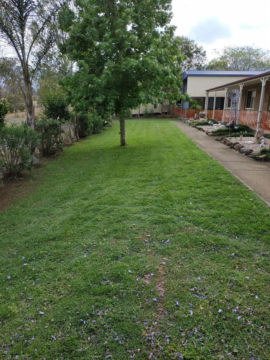 Creeping Red Fescue Mckays Grass Seeds