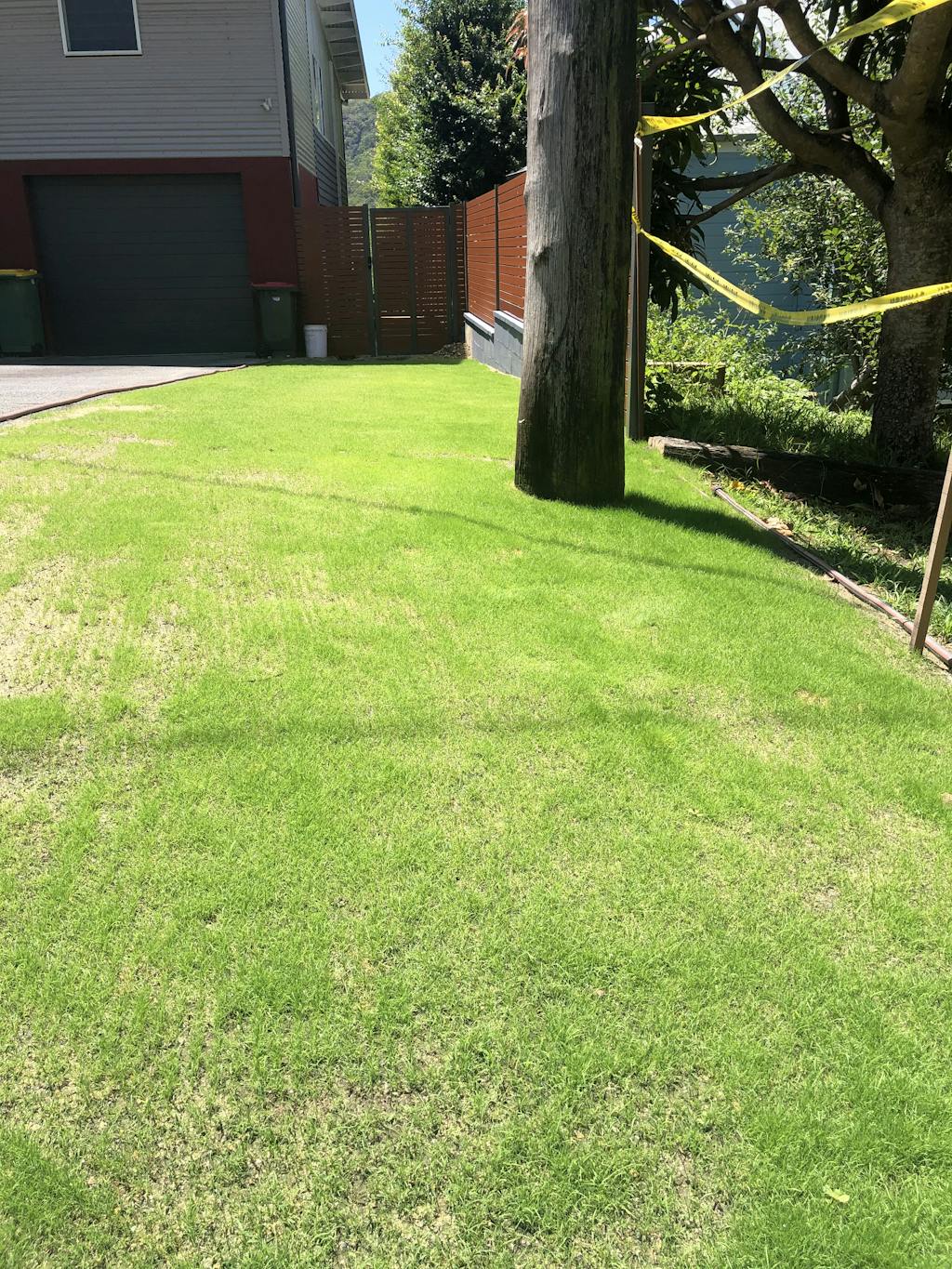 Bentgrass (Penncross) Seed - McKays Grass Seeds