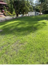 Buy Couch Seed from Australia leading grass seed experts.