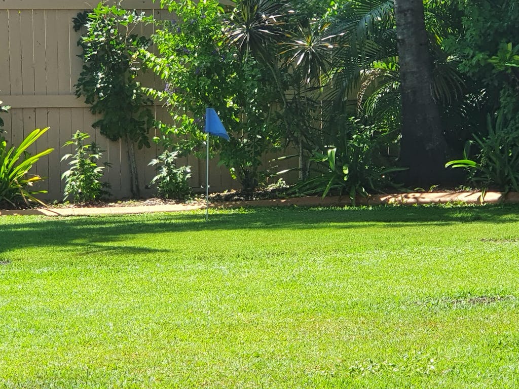 Bermuda Lawn Seed – Proven to Grow Thicker, Faster!