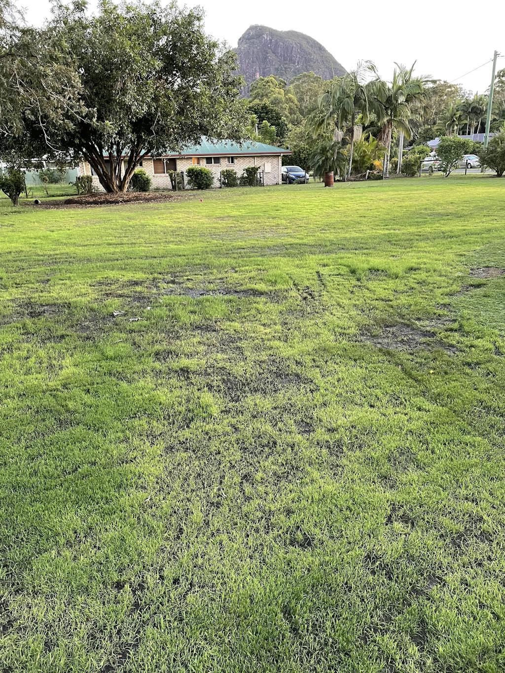 Bermuda Lawn Seed – Proven to Grow Thicker, Faster!