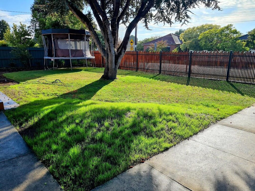Rpr Perennial Ryegrass Mckays Grass Seeds
