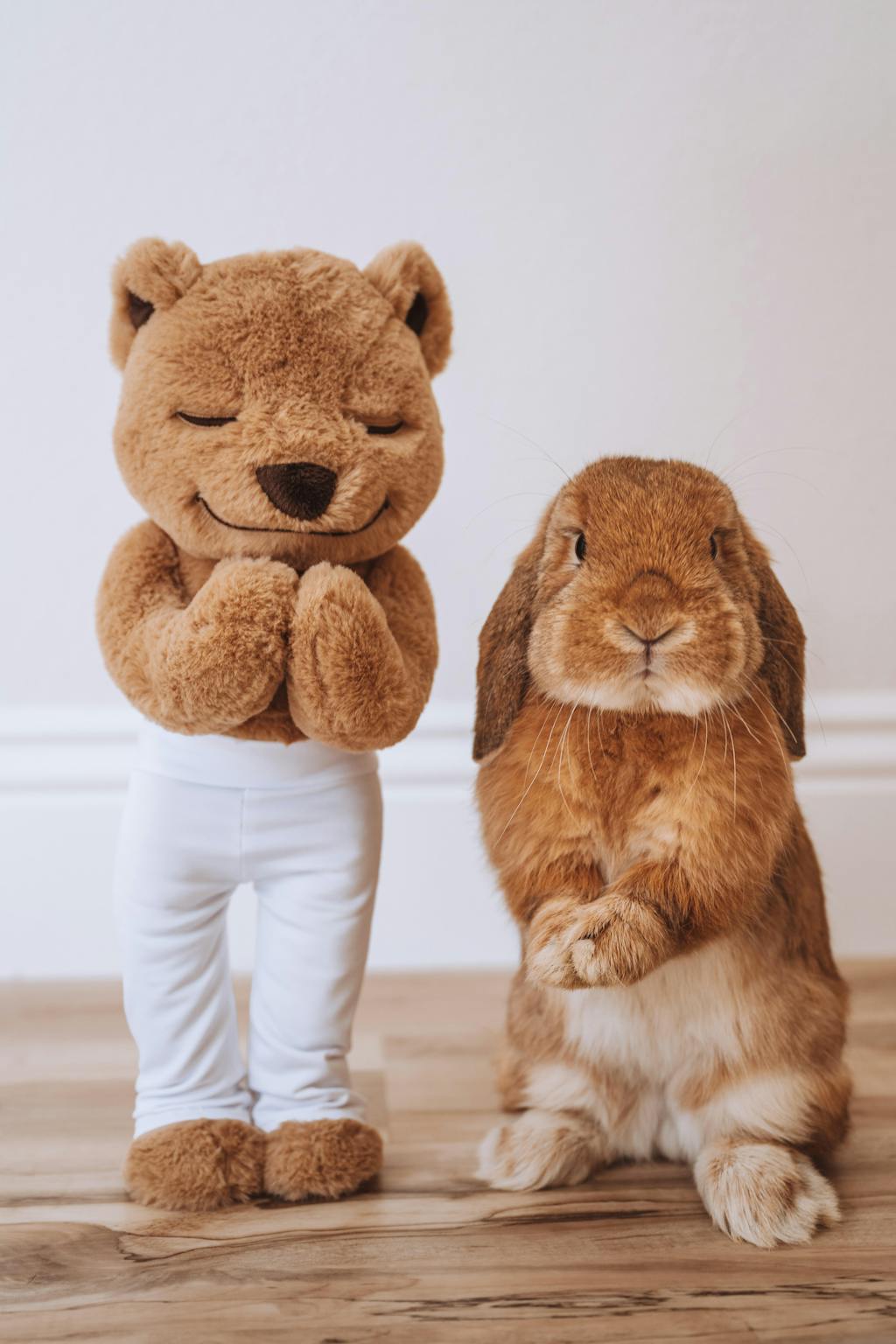 Meddy Teddy Original Yoga Teddy Bear Plush Toy (37 Cm.)