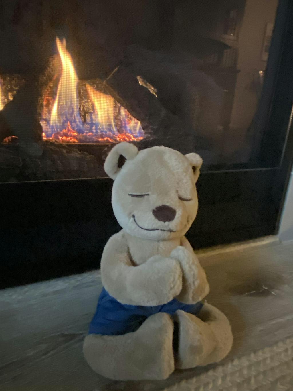 Meddy Teddy Original Yoga Teddy Bear Plush Toy (37 Cm.)