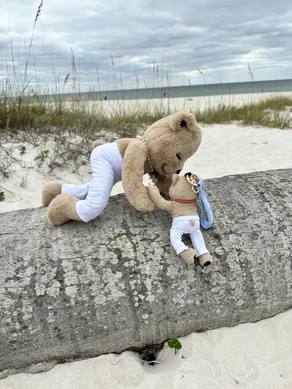 Meddy Teddy Yoga Bear - Yoga Bear - Meddy Teddy Bear