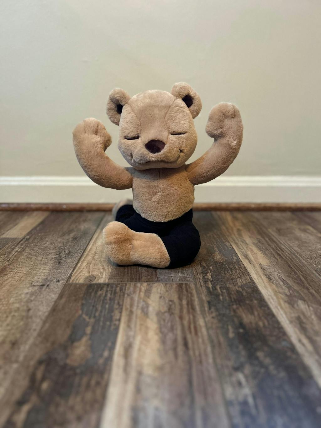 Shop – Meddy Teddy