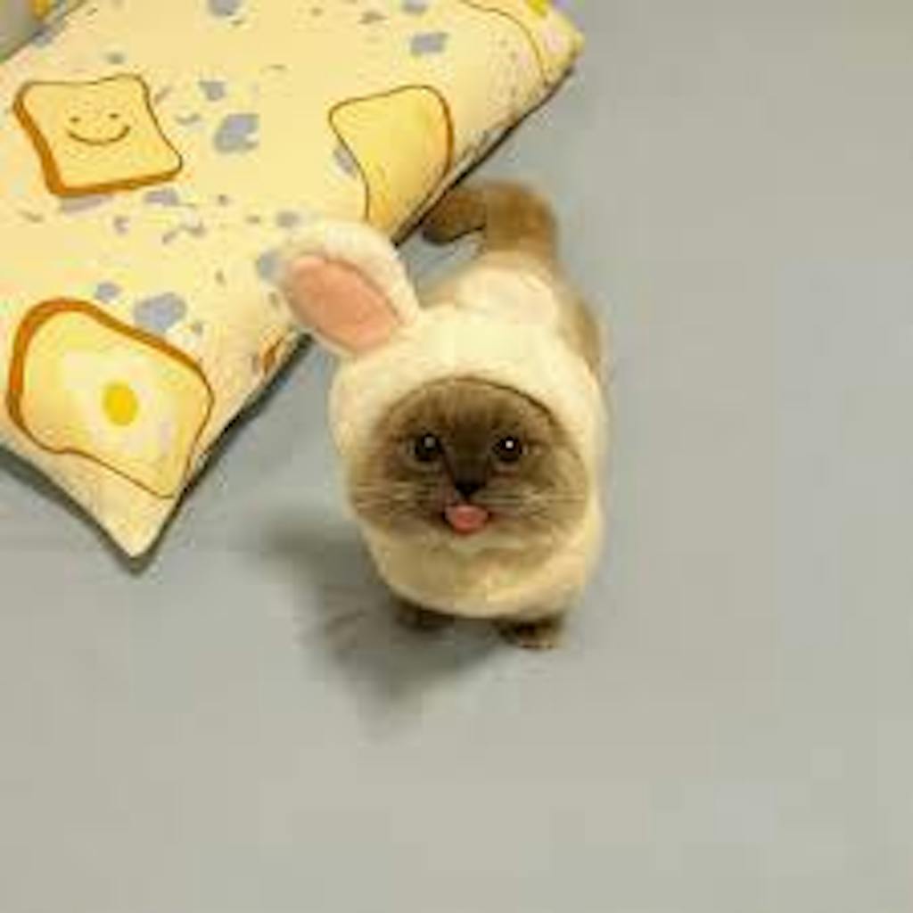 MedKit Gaming Mystery Box – MedKit Mystery Boxes