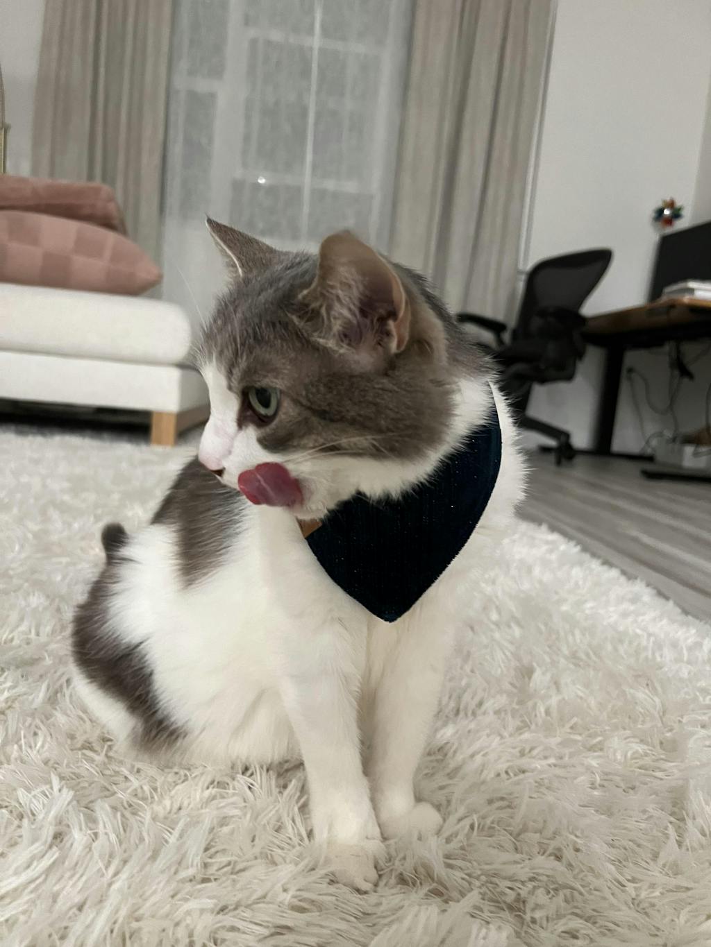 Velvet Leather Ultimate Poop Bag Holder: Red