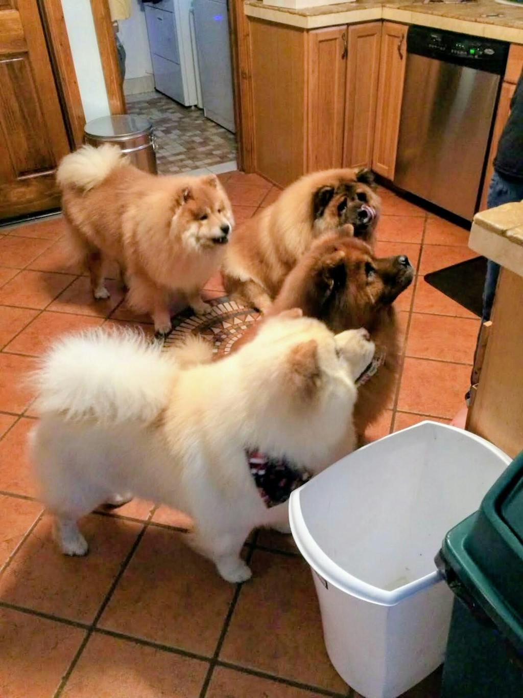 MemoryOrb™- Video playing memory orb