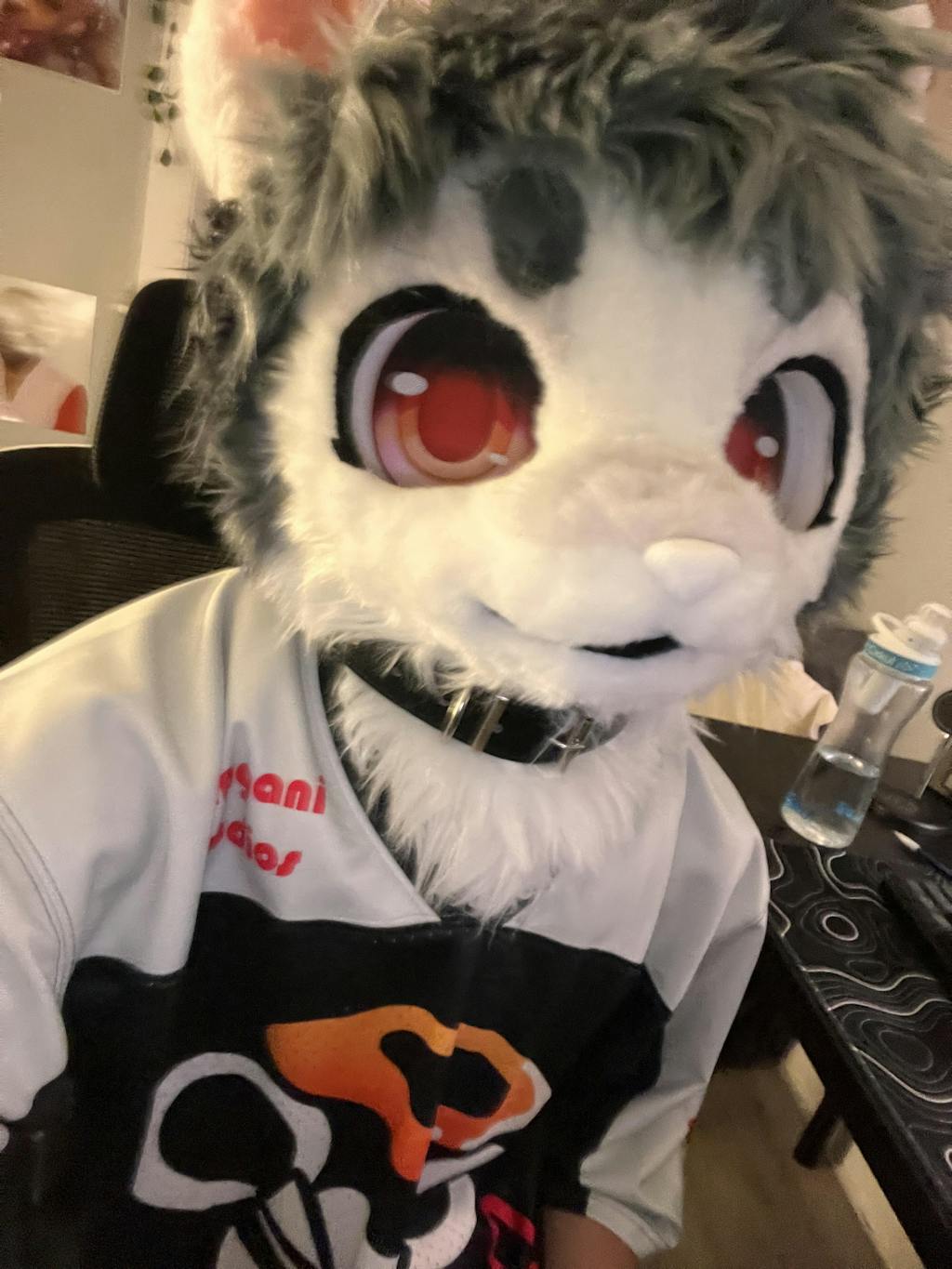 Full DIY Guide to Make a Kemono Fursuit Head For Beginners – Meow Fursuits