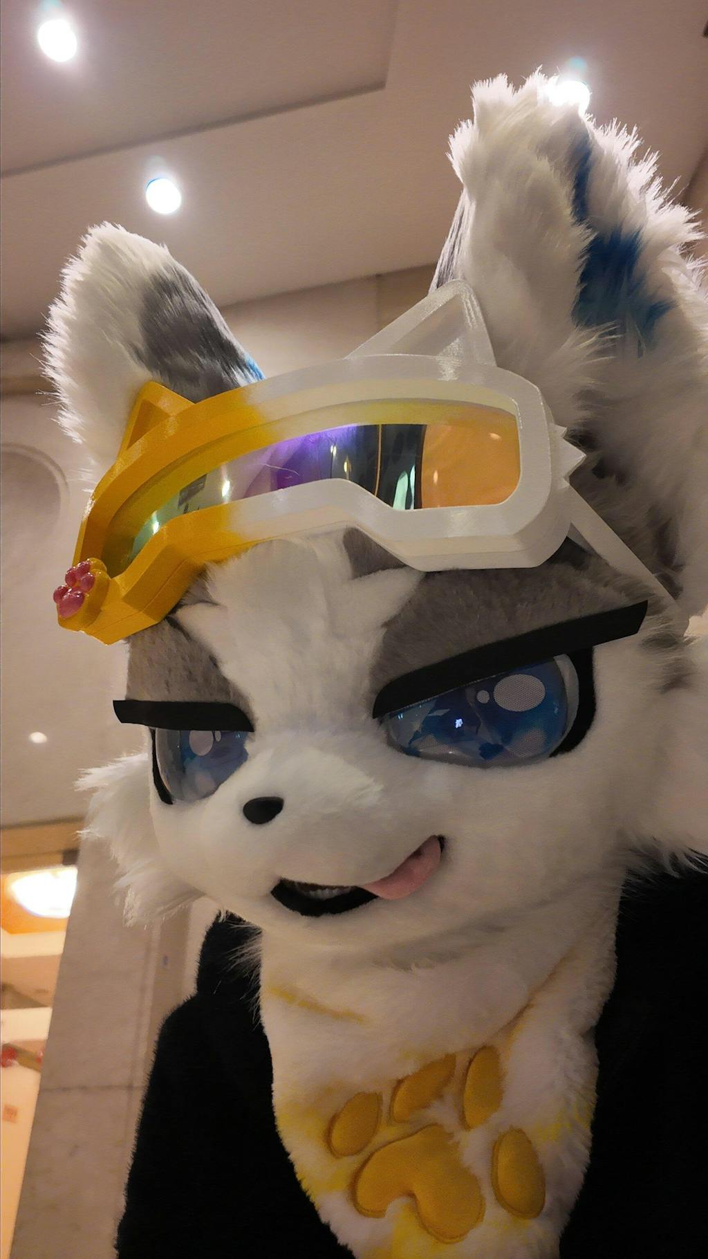 Affordable Fursuit Heads for Sale – Budget Furry Headgear – Meow Fursuits