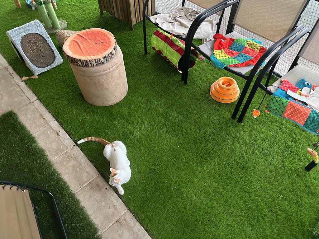 Cat netting, Catio netting, Cat mesh, Cat fence barrier, Cat netting ...