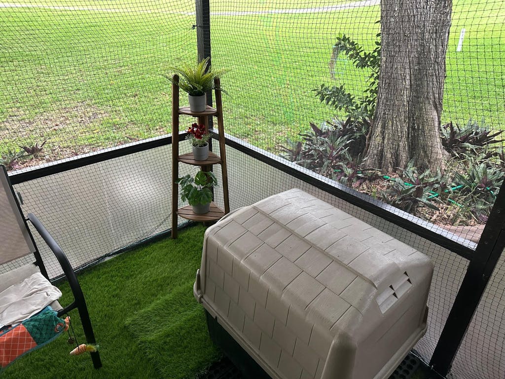 Cat netting, Catio netting, Cat mesh, Cat fence barrier, Cat netting ...