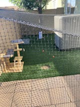 Cat netting, Catio netting, Cat mesh, Cat netting patio fence barrier ...