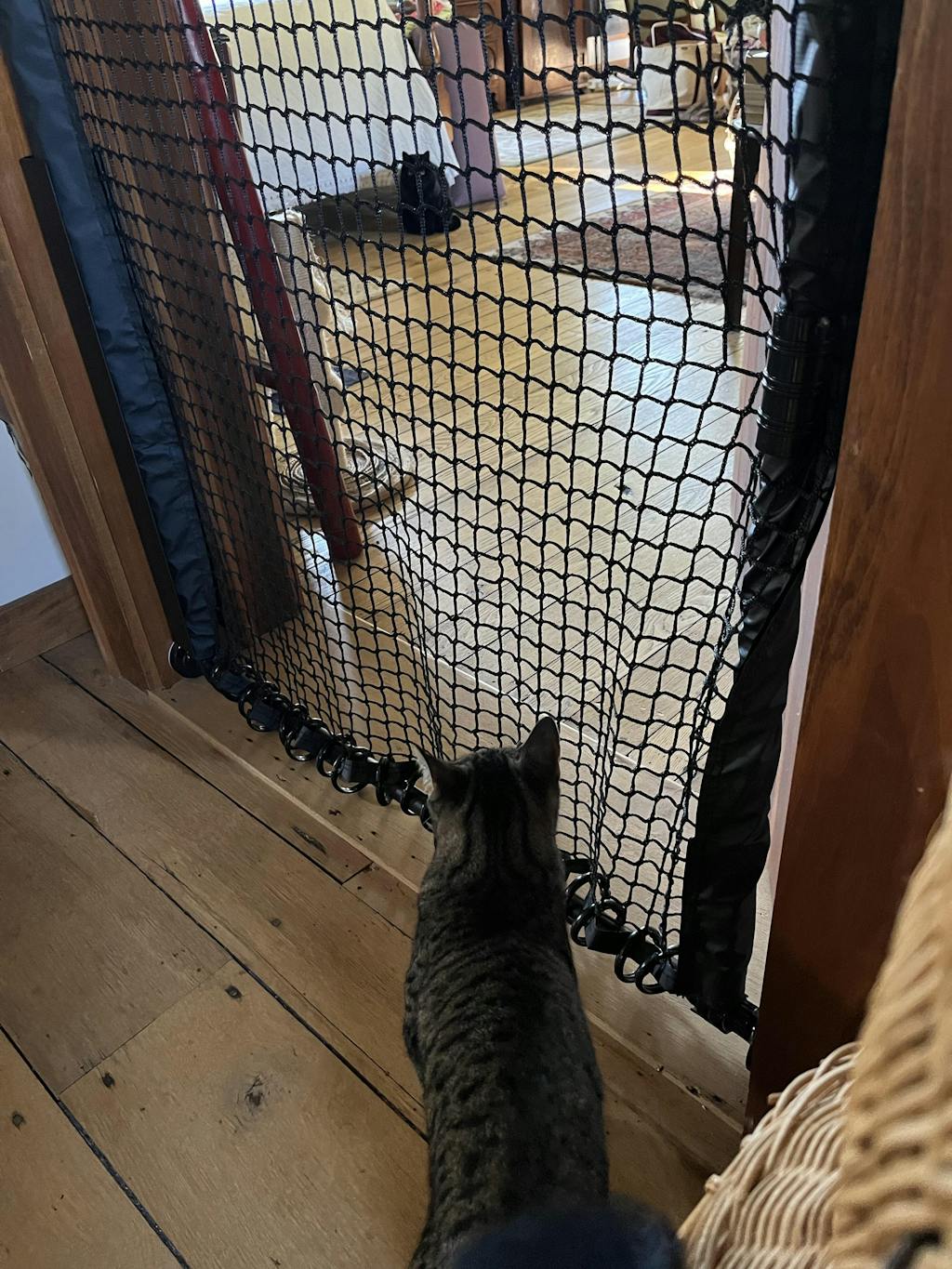 Cat gate extra tall 72", Cat barrier, Cat Gate for door, Cat pet gate – Meow Safe