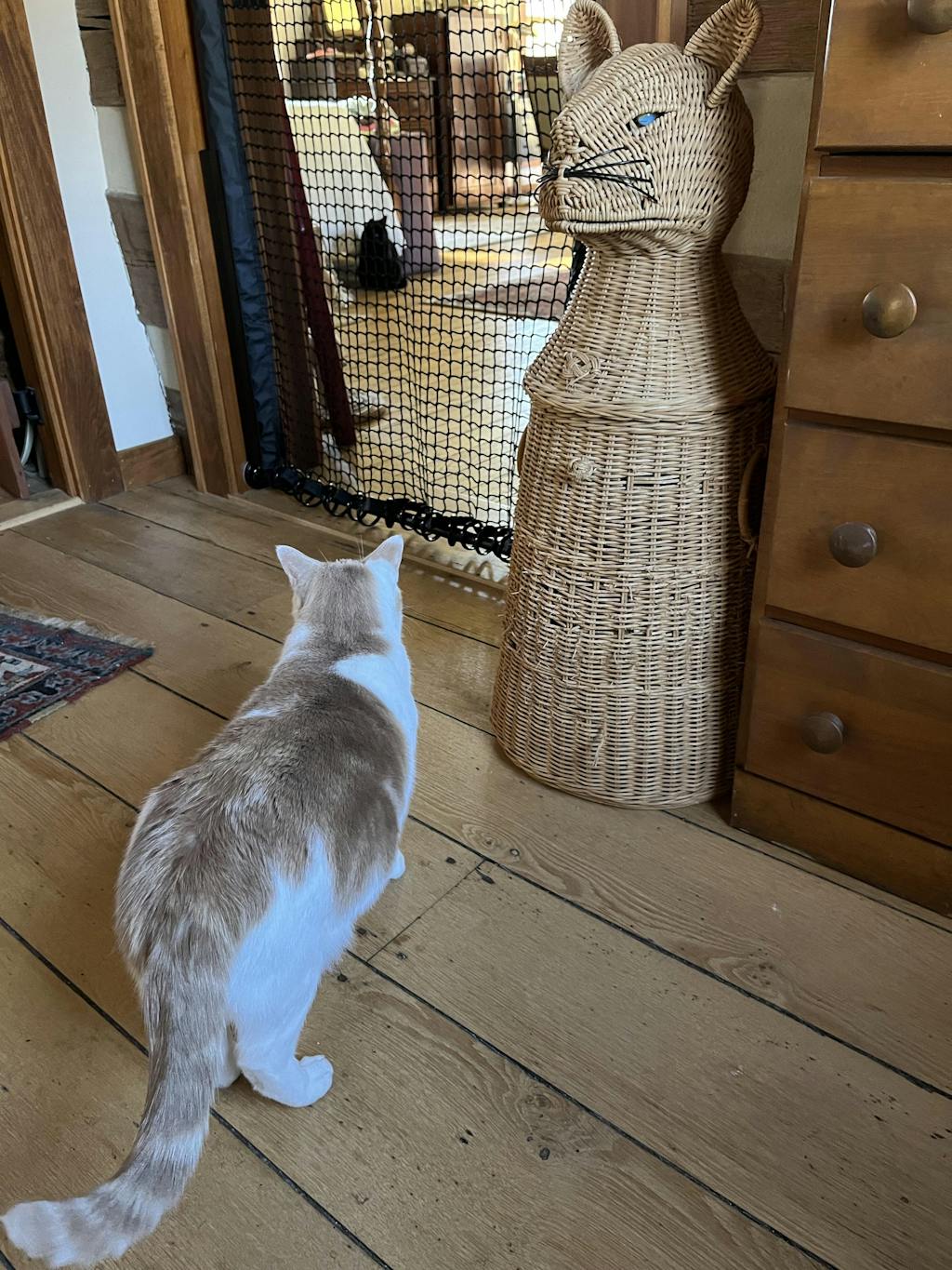 Cat gate extra tall 72", Cat barrier, Cat Gate for door, Cat pet gate ...