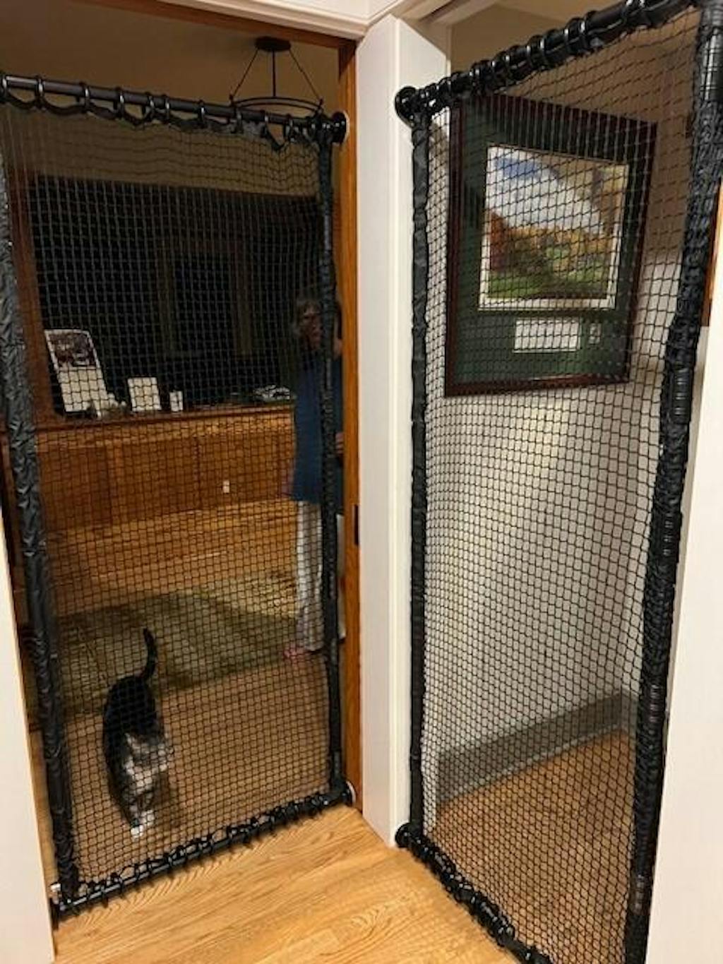 Cat gate extra tall 72", Cat barrier, Cat Gate for door, Cat pet gate ...