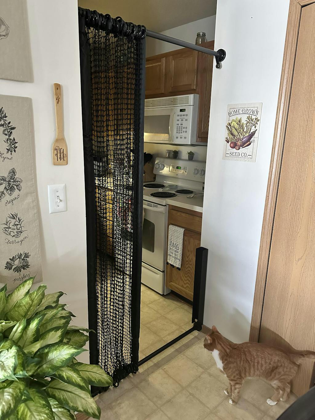 Cat gate extra tall 72", Cat barrier, Cat Gate door, Introduce a cat ...