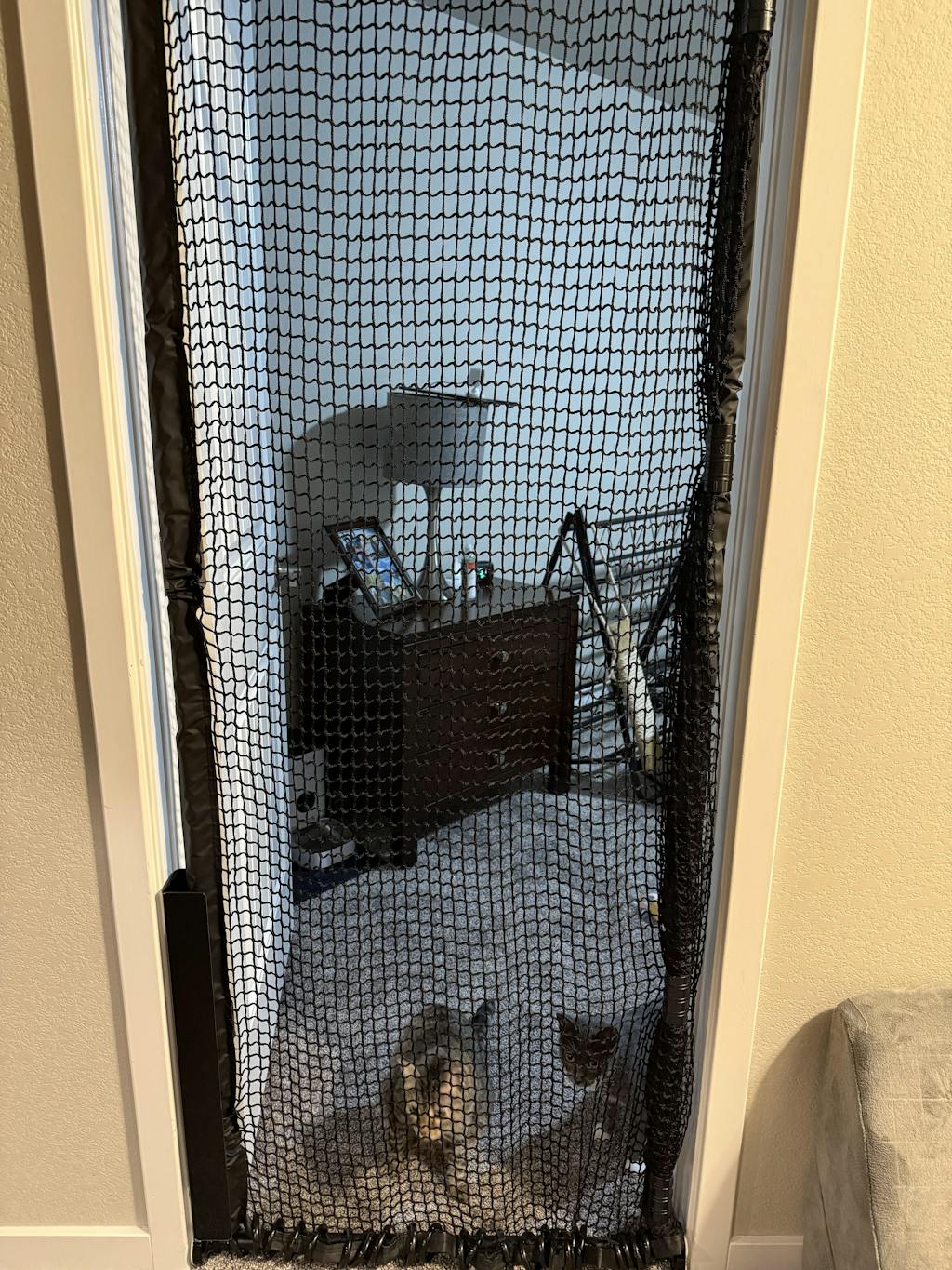 Cat gate extra tall 72", Cat barrier, Cat Gate door, Introduce a cat ...
