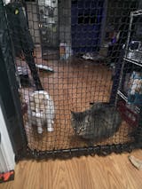 Cat gate extra tall 72", Extra Tall Pet Gate, Cat Screen Door, Extra ...