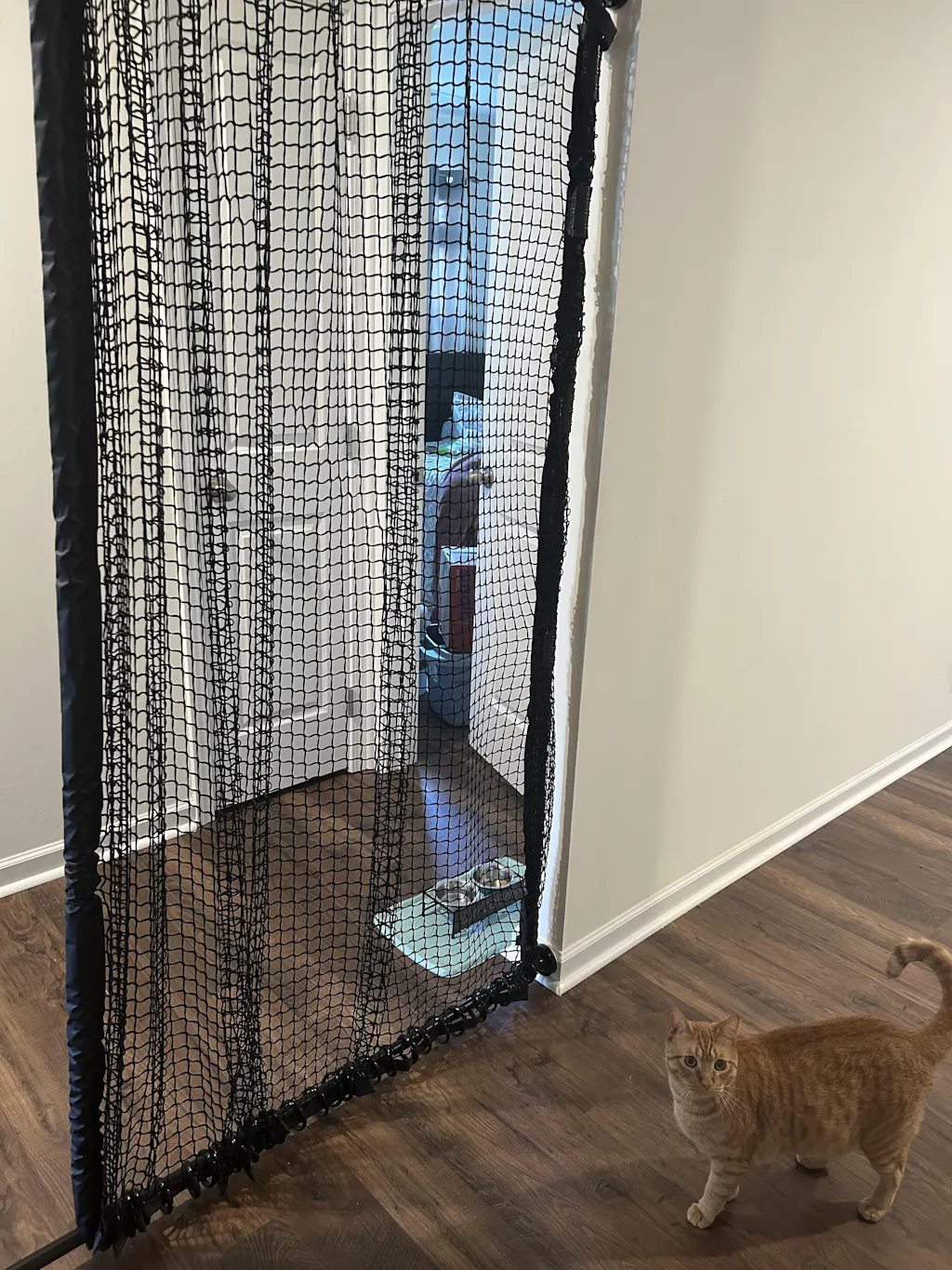 Cat gate extra tall 72", Extra Tall Pet Gate, Cat Screen Door, Extra ...